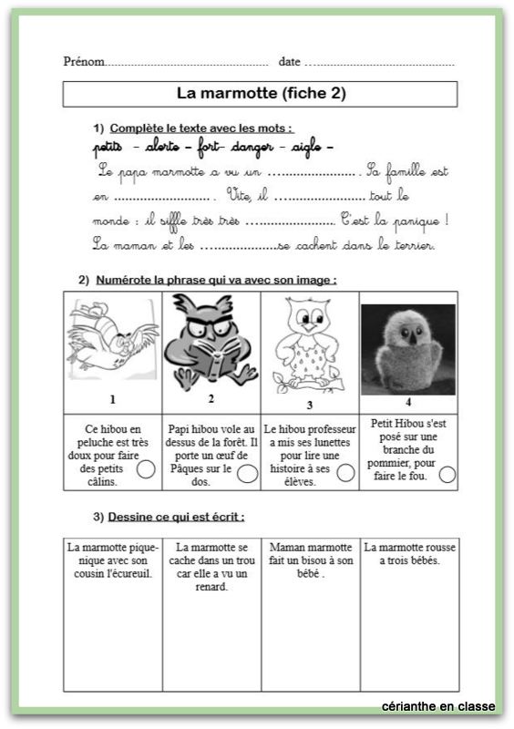 LECTURE DOCUMENTAIRE AU CP : LA MARMOTTE – Cérianthe en classe