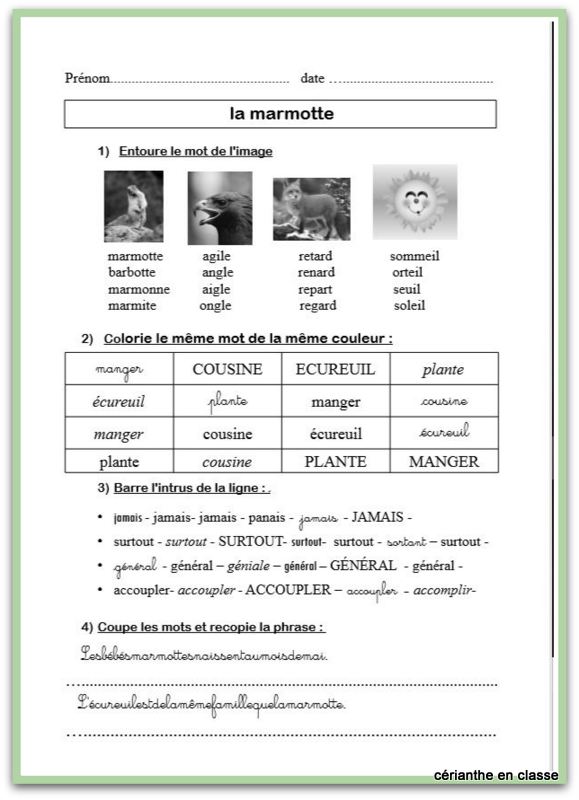 LECTURE DOCUMENTAIRE AU CP : LA MARMOTTE – Cérianthe en classe