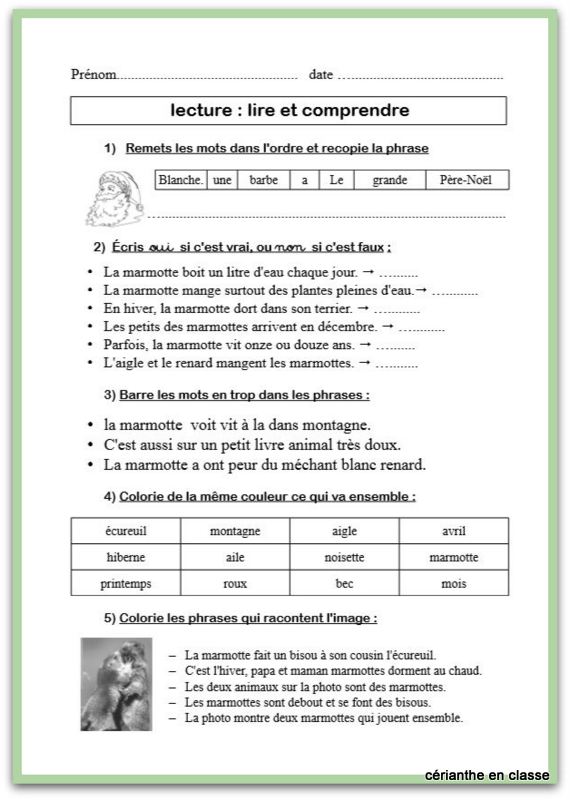 LECTURE DOCUMENTAIRE AU CP : LA MARMOTTE – Cérianthe en classe