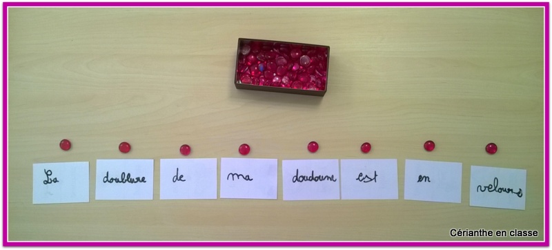 SEGMENTER LES MOTS DANS LA PHRASE – Cérianthe en classe