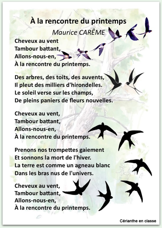 POÈMES SUR LE PRINTEMPS AU CP – Cérianthe en classe