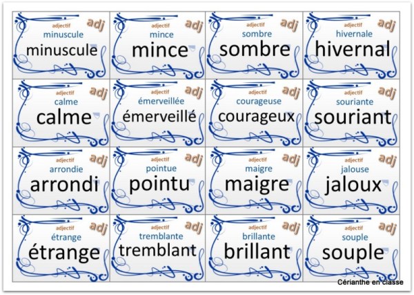 fabrique à phrases adj – Cérianthe en classe