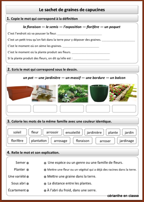 LECTURE INFORMATIVE : LE SACHET DE GRAINES – Cérianthe en classe