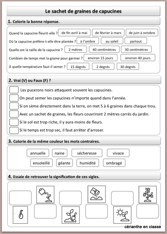 LECTURE INFORMATIVE : LE SACHET DE GRAINES – Cérianthe en classe